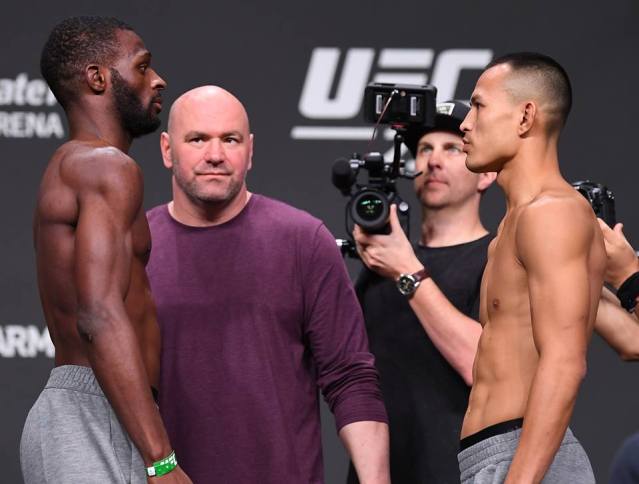 Milwaukee, Wisconsin’s Montel Jackson earns 2nd UFC win at ‘UFC 236’ in ...