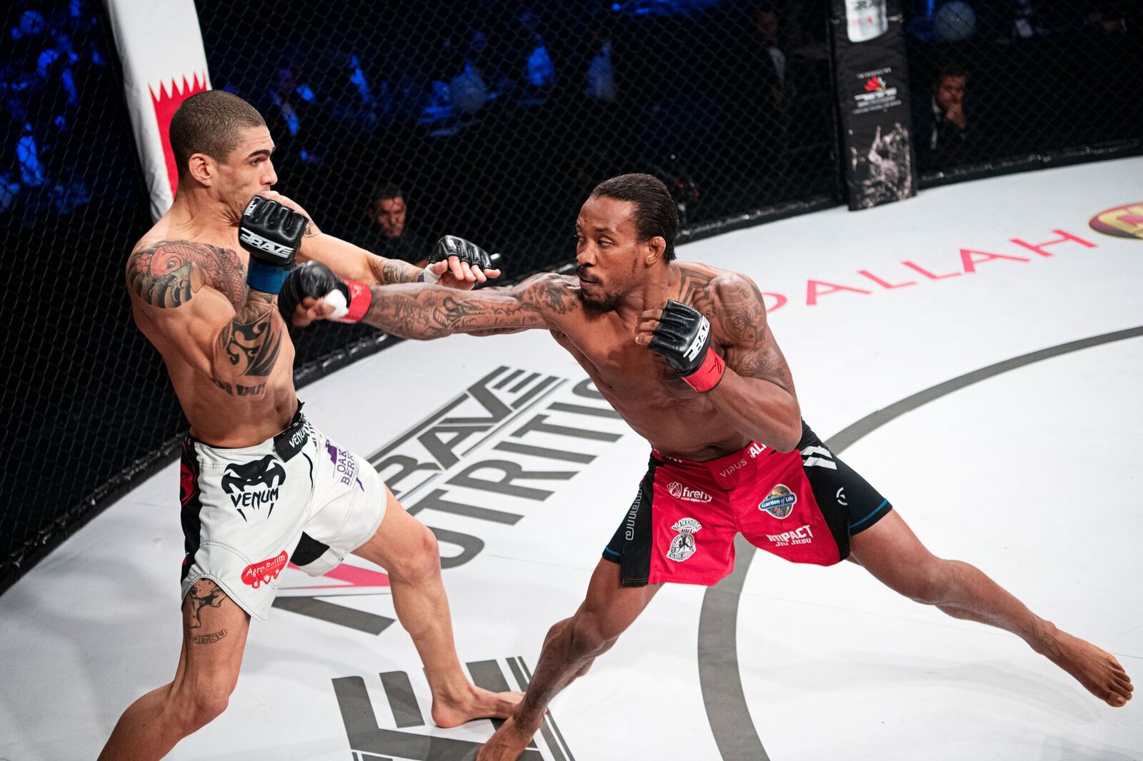 Lucas Martins, Bubba Jenkins (©Brave Combat Federation) – CONAN Daily